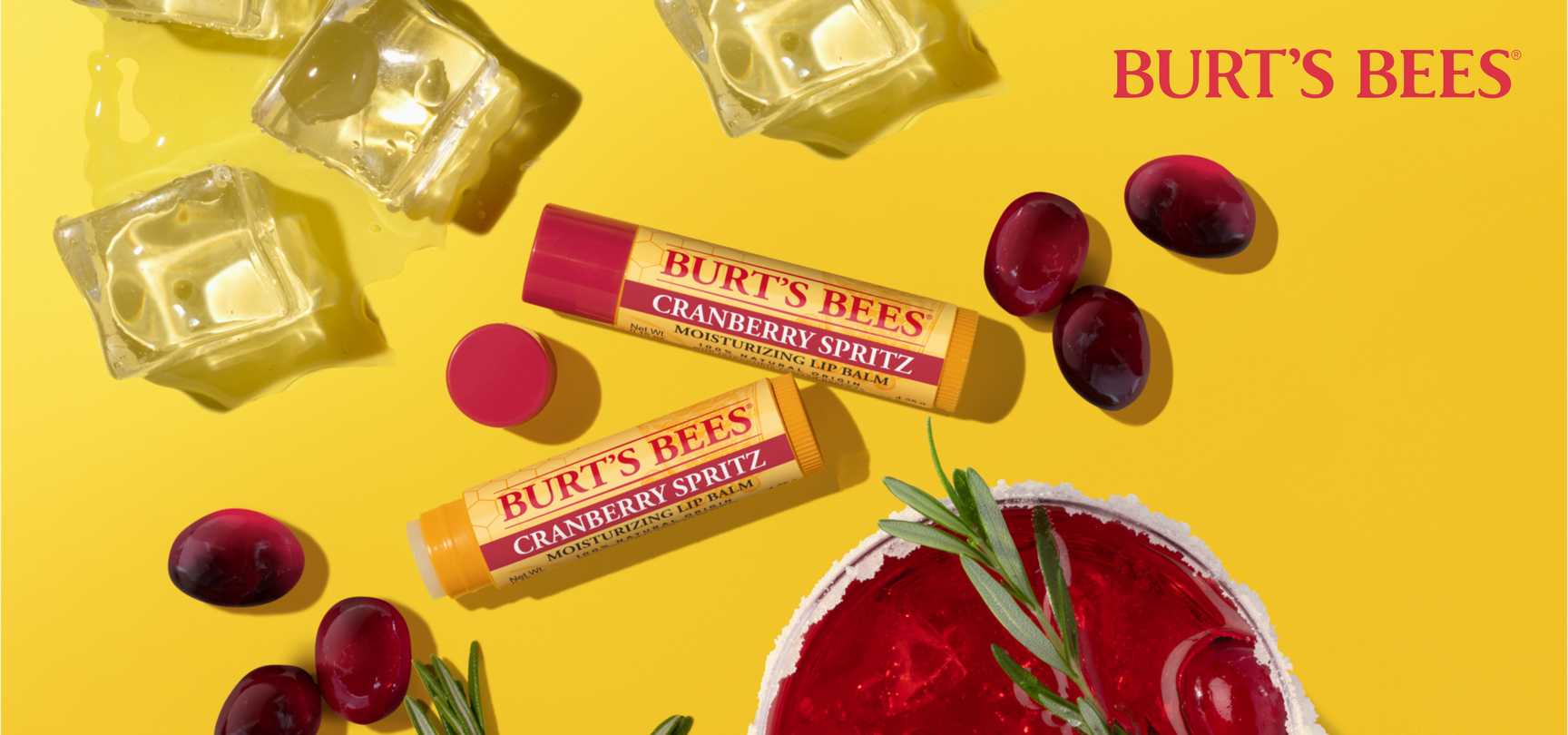 Shop Burt’s Bees in the Philippines | Beauty Bar